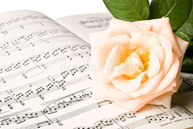 The Rose On Notes Picture. Image: 6283650