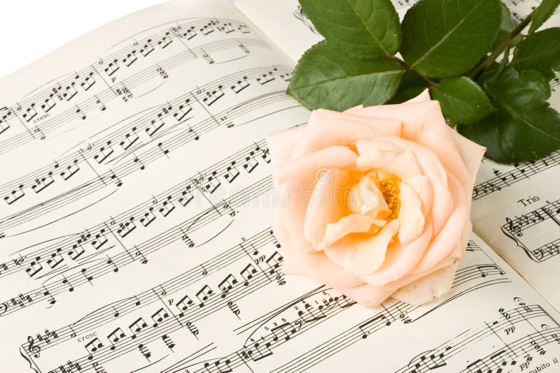 Notebooks with Notes on the Music & Flower Stock Photo - Image of ...