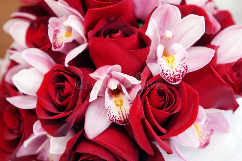 Rose and orchid bouquet stock image. Image of event, symbol - 12768531