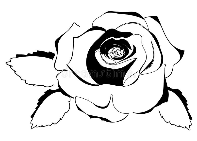 Rose Outline stock vector. Illustration of graphic, outline - 53445581
