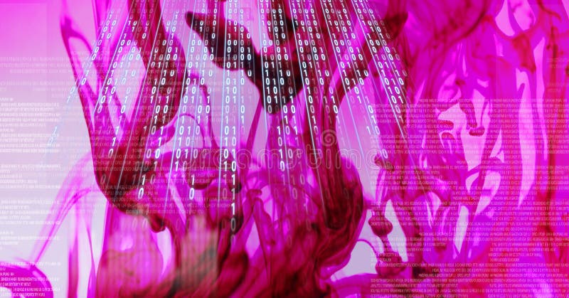 Rose Over Computer Code, Program Coding and Technology Concept Stock ...