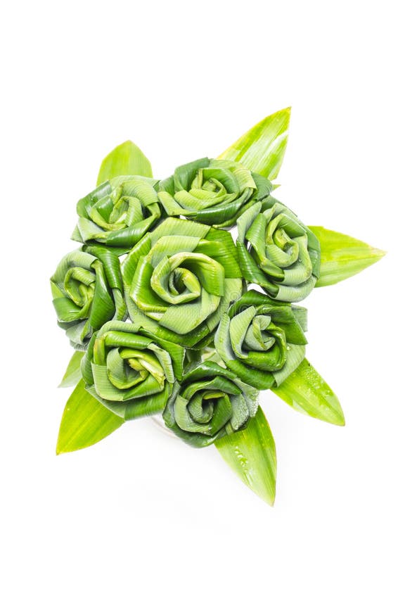 Rose of Pandan Leaf. stock photo. Image of element, foliage - 36514372