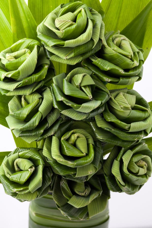 Pandan Leaf Plant that is Beneficial for Health Stock Image - Image of ...