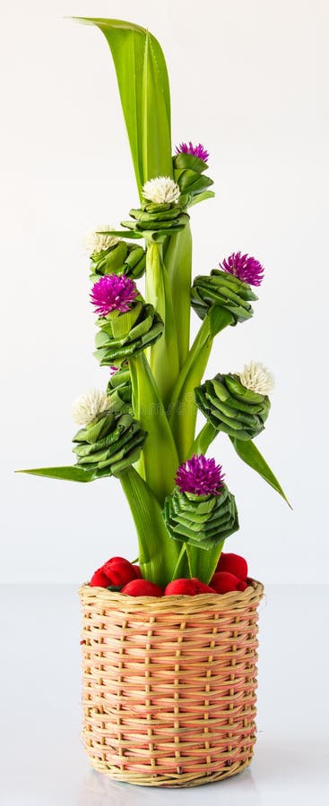 Rose pandanus stock image. Image of decorative, bunch - 48300769