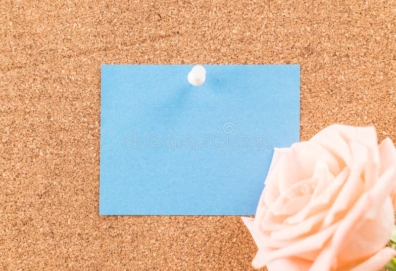 Rose with paper note stock photo. Image of flower, coral - 85609422