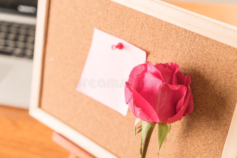 Rose with paper note stock image. Image of rose, note - 85609627