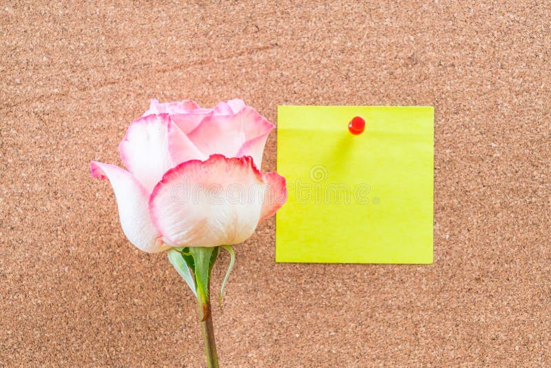 Rose with paper note stock photo. Image of paper, garden - 85613068