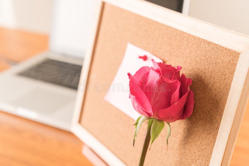 Rose with paper note stock image. Image of romantic, paper - 86086659