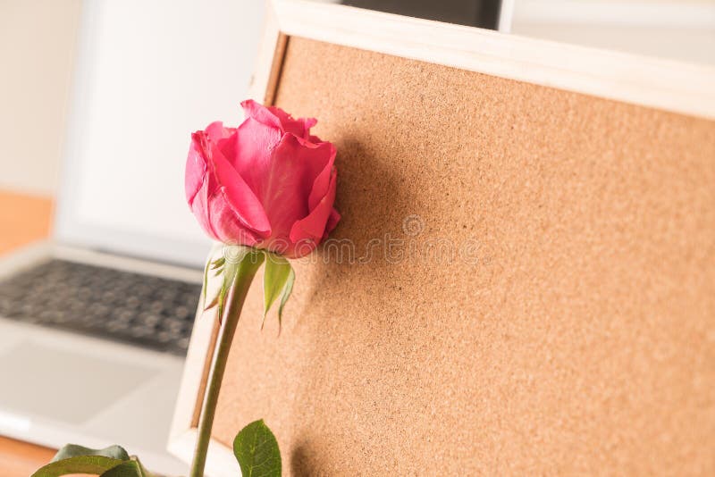 Rose with paper note stock image. Image of love, closeup - 86090087