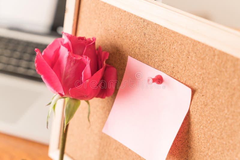 Rose with paper note stock photo. Image of holiday, rose - 86162670