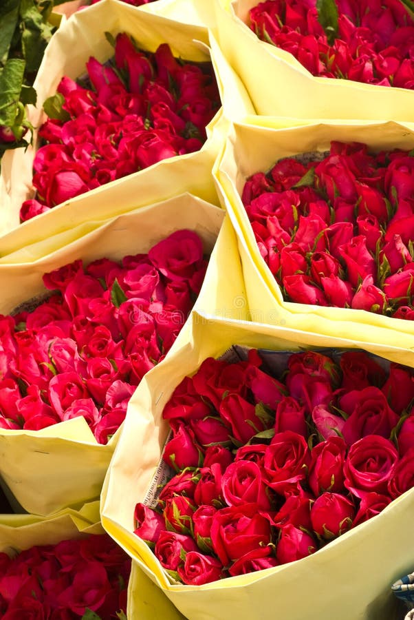 Rose in the paper pack stock image. Image of shop, lovely - 17720749