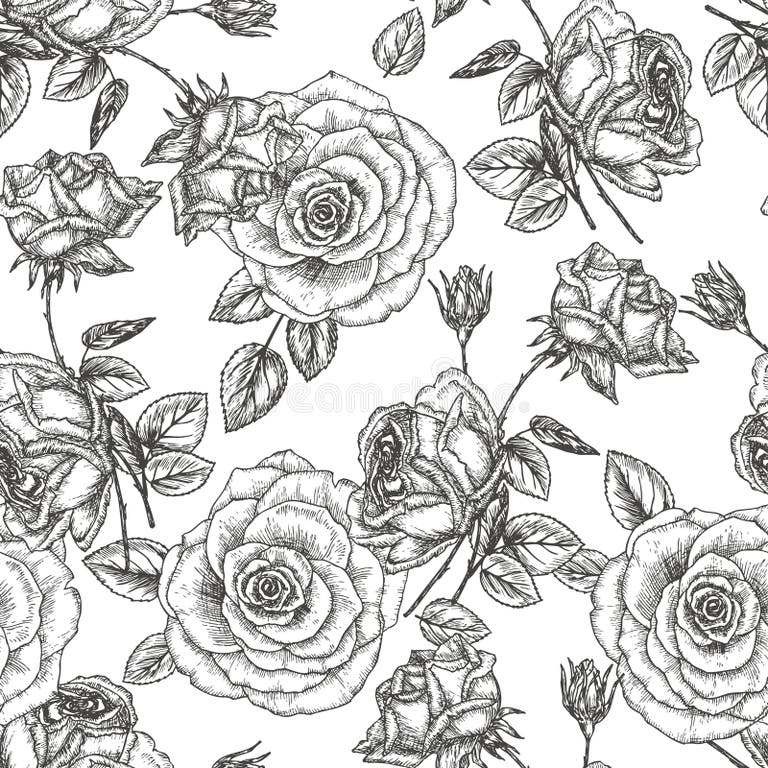 Simple Rose Pattern Stock Illustrations – 41,528 Simple Rose Pattern ...