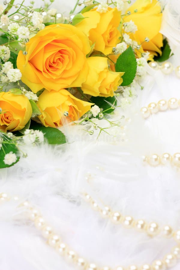 White Frame with Yellow Rose Stock Illustration - Illustration of ...