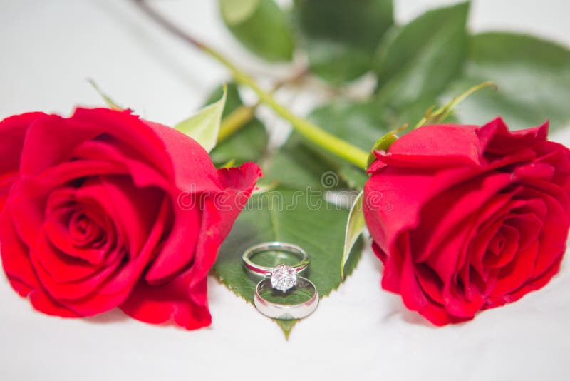Rose, Pearl and Diamond Ring Stock Photo - Image of beautiful, rose ...