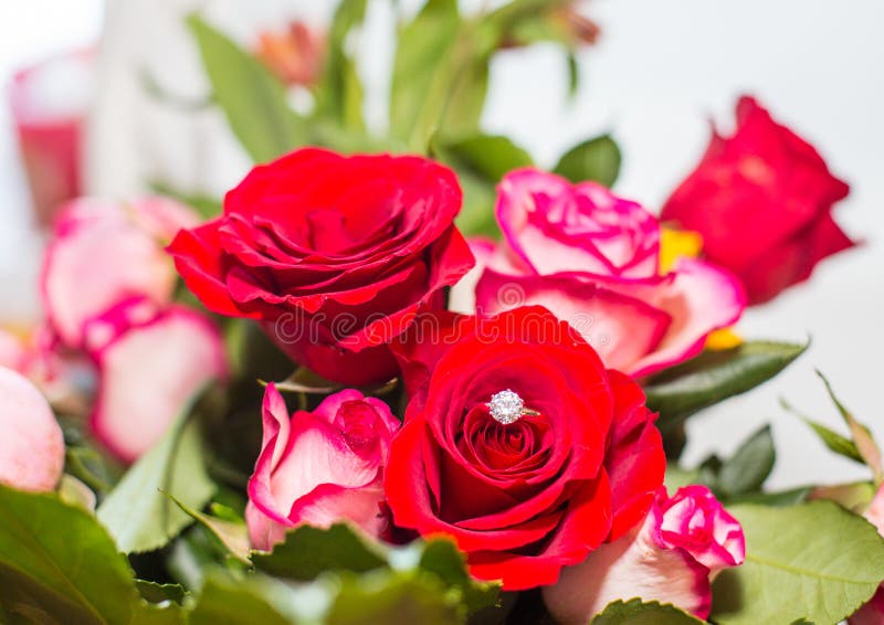 Rose, Pearl and Diamond Ring Stock Image - Image of valentine, roses ...