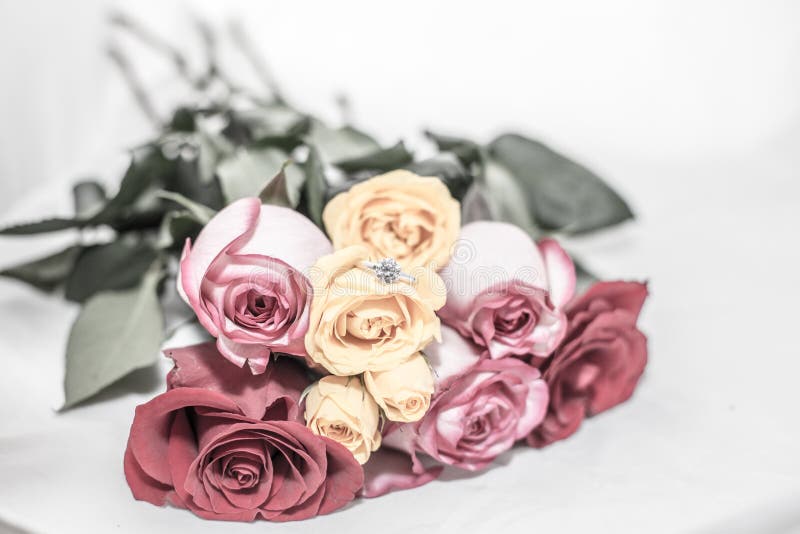 Rose, Pearl and Diamond Ring Stock Photo - Image of band, pearl: 49007516