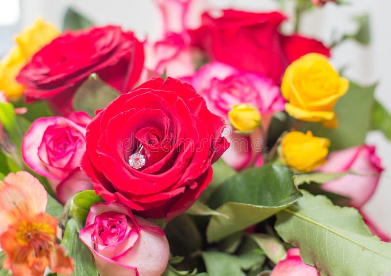 Rose, Pearl and Diamond Ring Stock Photo - Image of spring, celebrate ...