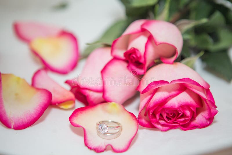 Rose, Pearl and Diamond Ring Stock Photo - Image of jewelry ...