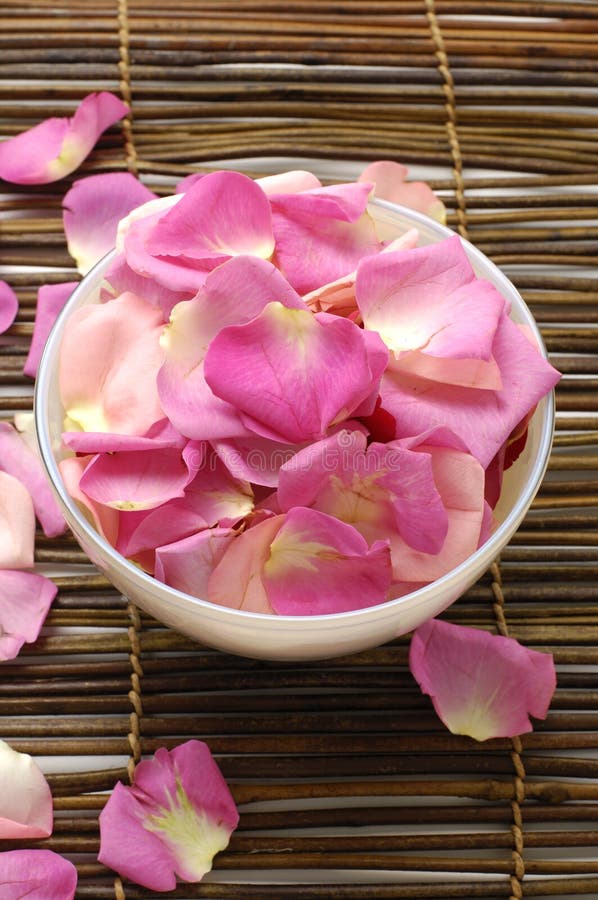 Rose petal stock photo. Image of essential, care, fresh - 11410882