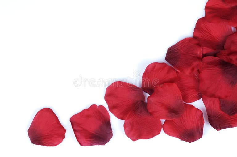 21,774 Rose Petal Border Stock Photos - Free & Royalty-Free Stock ...