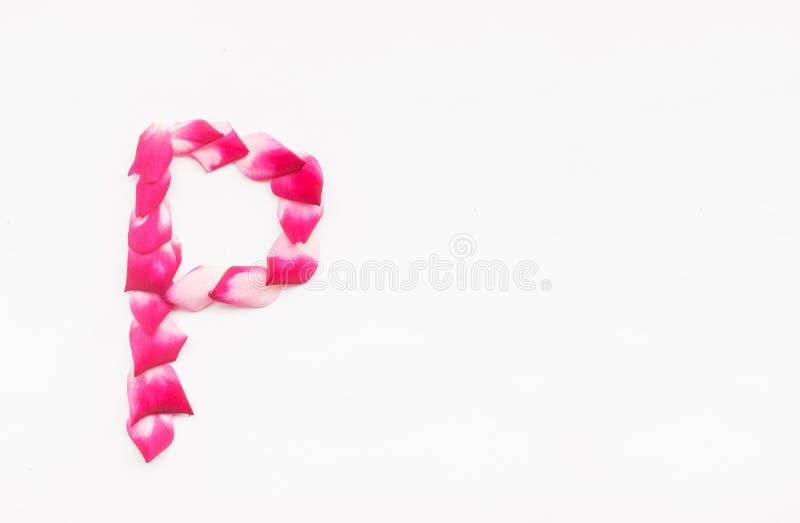 Rose Petal Letter P Background Image, Rose Petal Letters, Alphabet ...