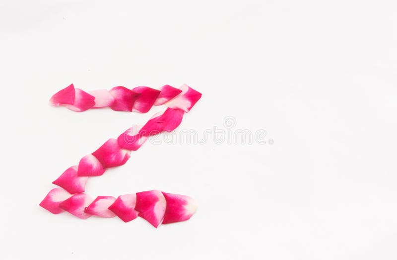 Rose Petal Letter Z Background Image, Rose Petal Letters, Alphabet ...