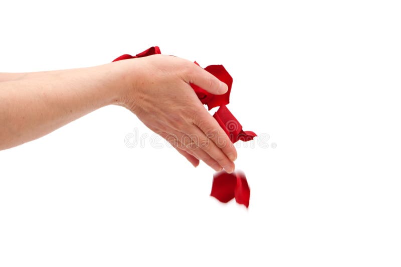 Flower Petals Falling Hands Stock Photos - Free & Royalty-Free Stock ...