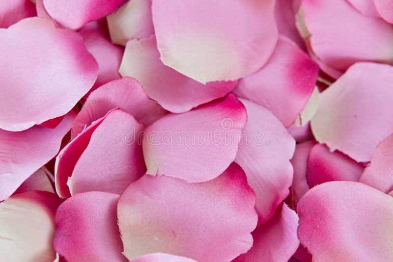 Vintage Script stock illustration. Illustration of curve - 6642103