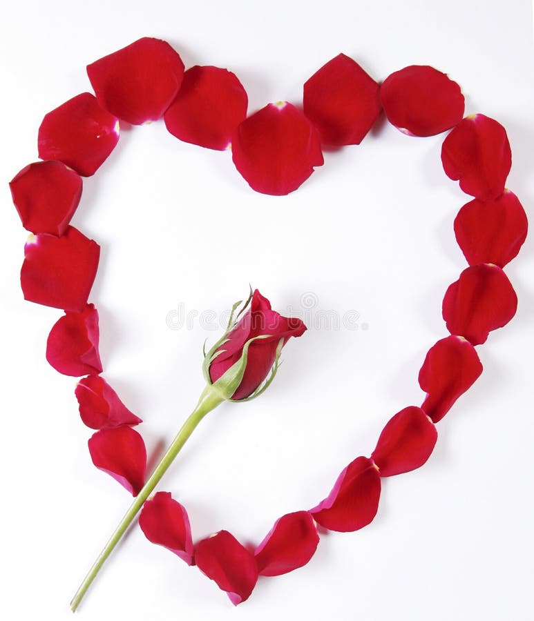 How To Draw A Heart With A Rose Inside Step By Step