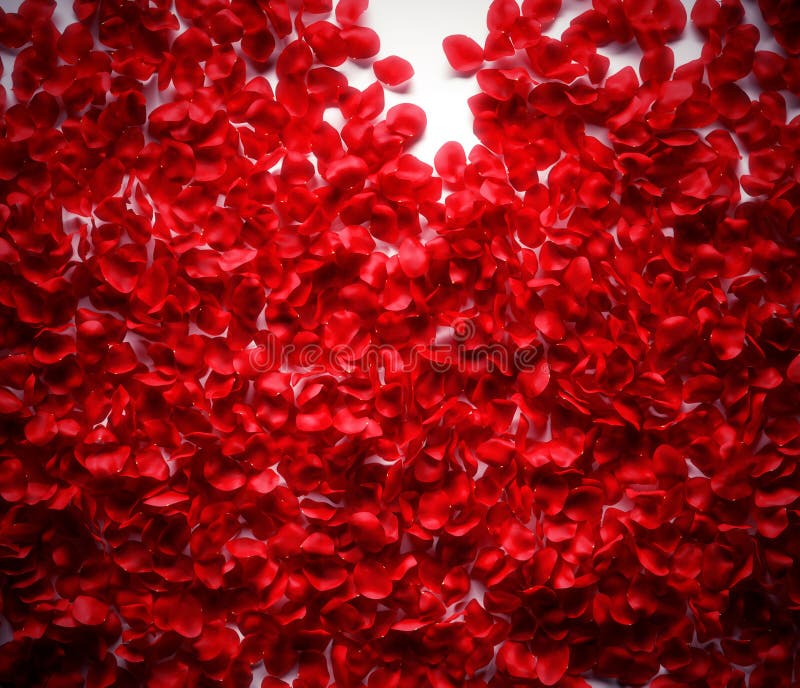 Red Rose Petals Background stock image. Image of natural - 29230071