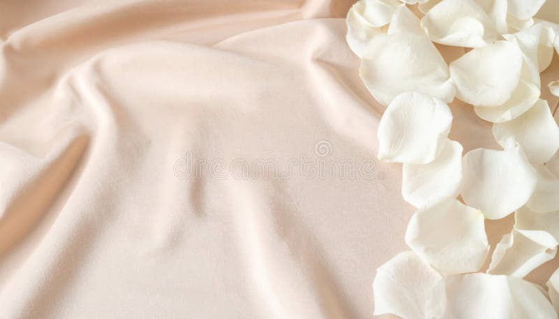 Fabric Rose Petals Textile Background Stock Illustrations – 6,435 ...