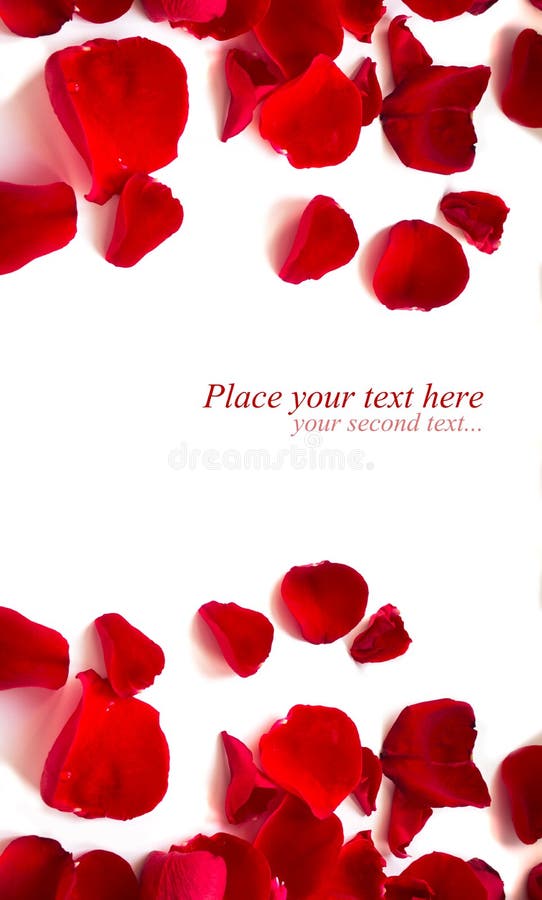 Rose Petals Border foto de stock. Imagem de vermelho - 52196518