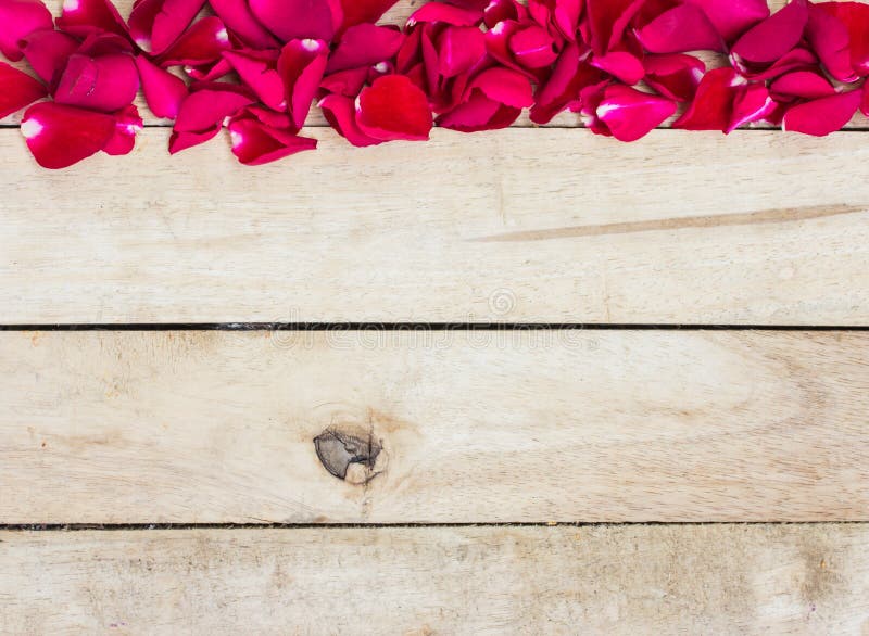 Rose Petals Border imagen de archivo. Imagen de madres - 65665755