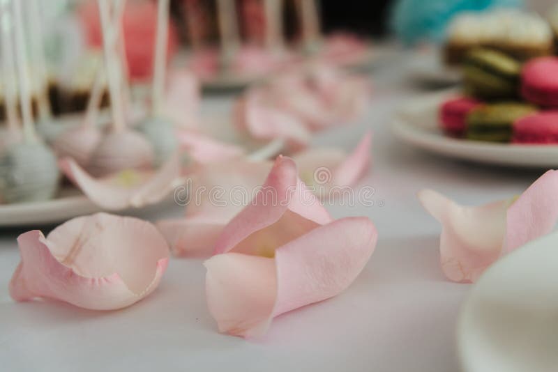 Rose Petals on Dessert Table Stock Photo - Image of decorative, beauty ...