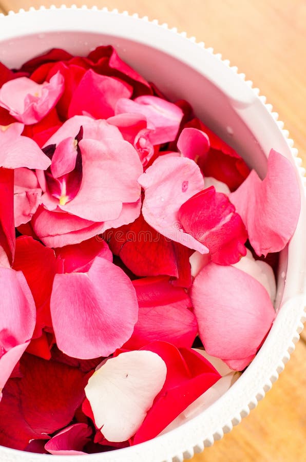 Rose petals stock image. Image of fresh, cuisine, prepared - 31837559