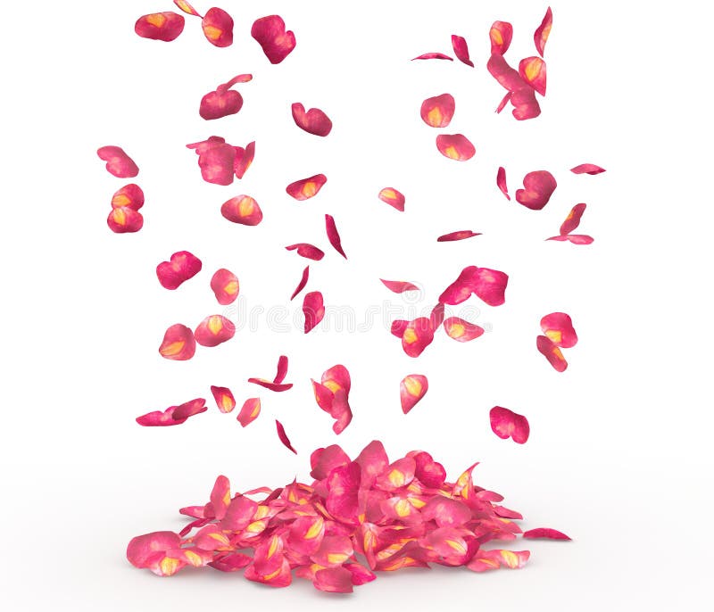 Rose Petals Fall To the Floor Stock Image - Image of drop, bloom: 129759731