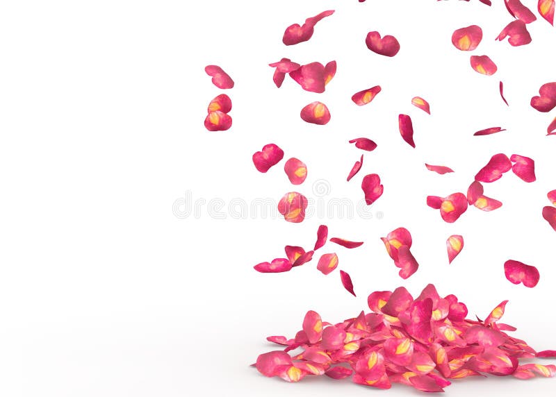 Rose Petals Fall To the Floor Stock Photo - Image of hovering ...