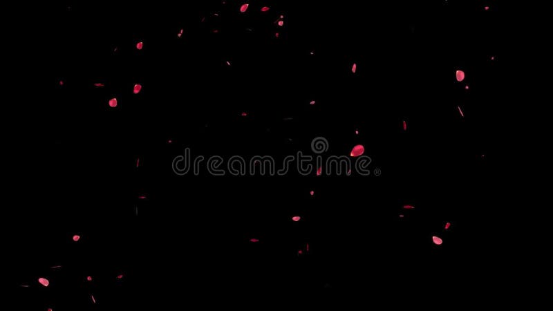 Rose Petals Falling Down Particles Motion Graphics Stock Footage ...