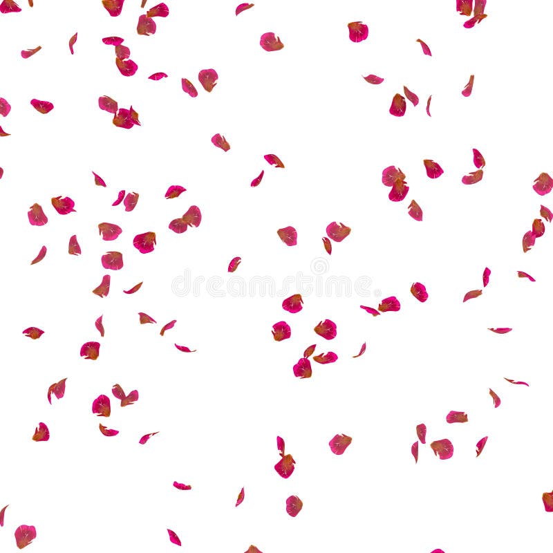 Air Rose Stock Illustrations – 8,510 Air Rose Stock Illustrations ...