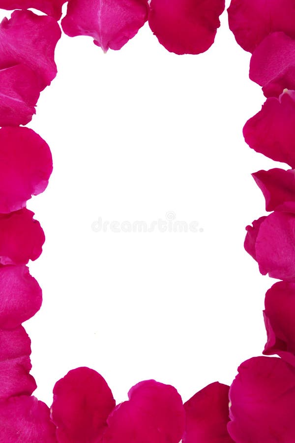 Rose petals frame stock image. Image of girls, florist - 31237753