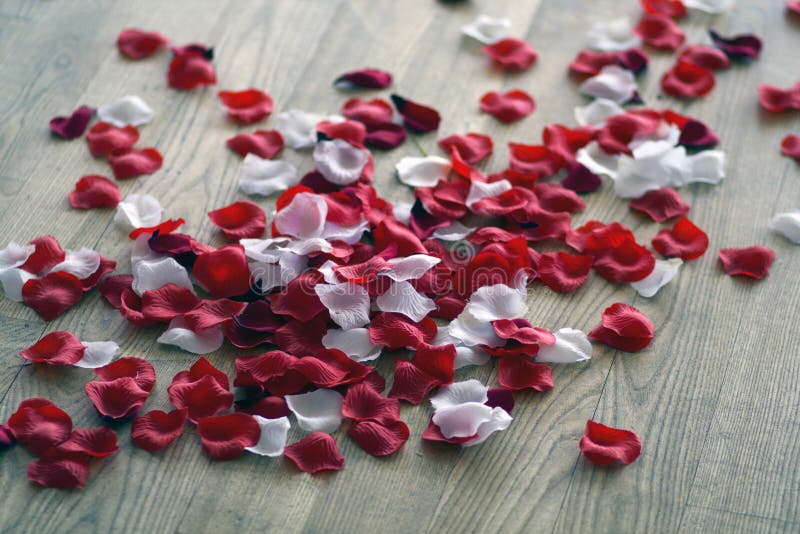 Rose petals stock image. Image of flower, fallen, wood - 41424463