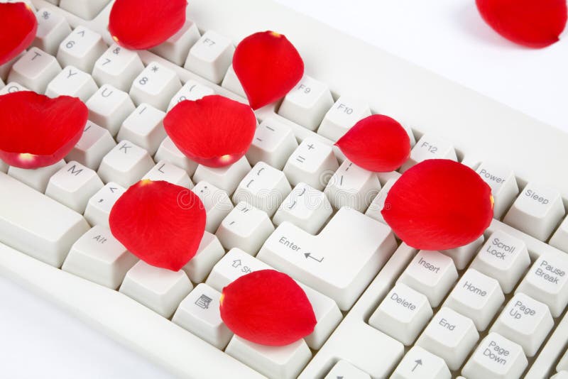 Red rose and keyboard stock photo. Image of flower, connection - 1787730