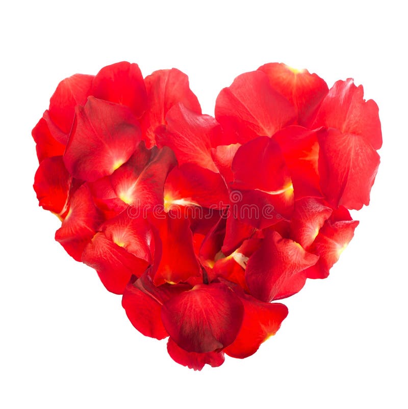 Rose Petals are Laid Out in a Heart Shape Stock Image - Image of ...