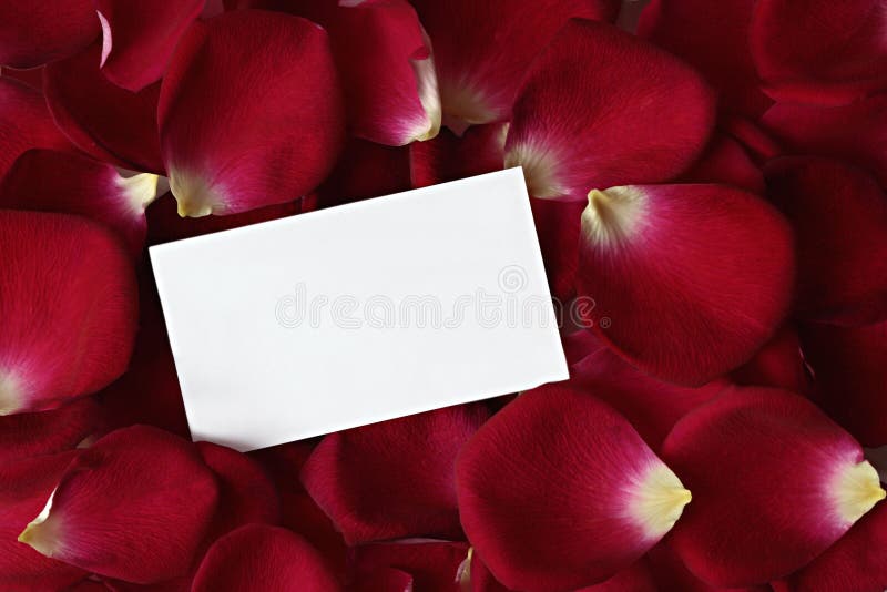 Rose Petals with Note Card stock photo. Image of love - 3480284