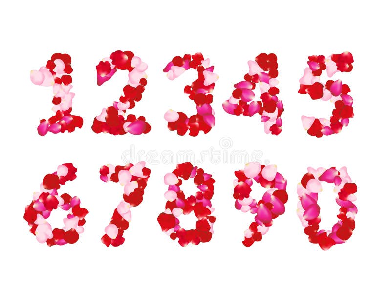 Rose Petals Numbers Set. Set of Romantic Numbers Type Stock Vector ...