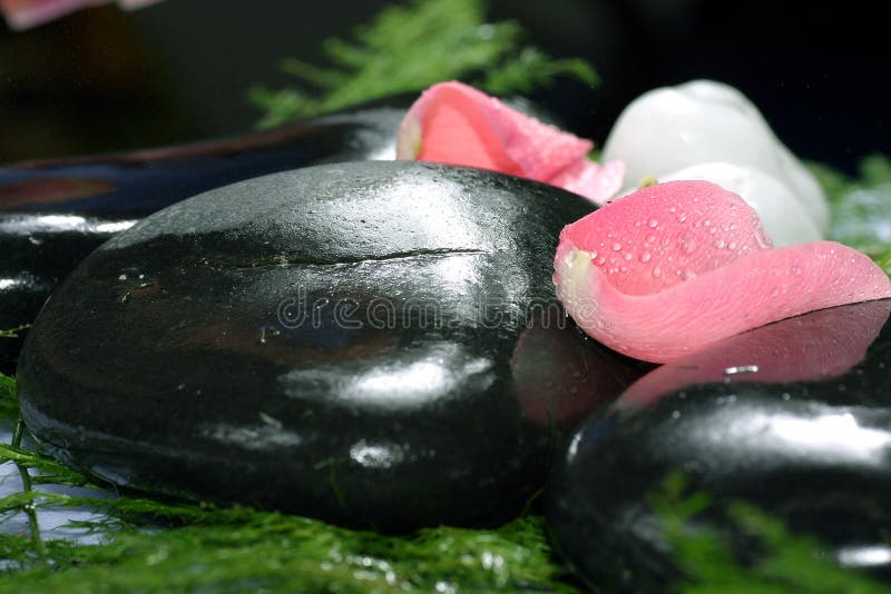 Rose petals and pebble stock photo. Image of fragrance - 1800842