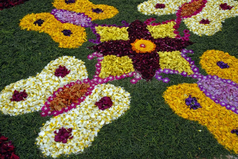 Rose Petals Rangoli Decoration Stock Image - Image of botany, isolated ...