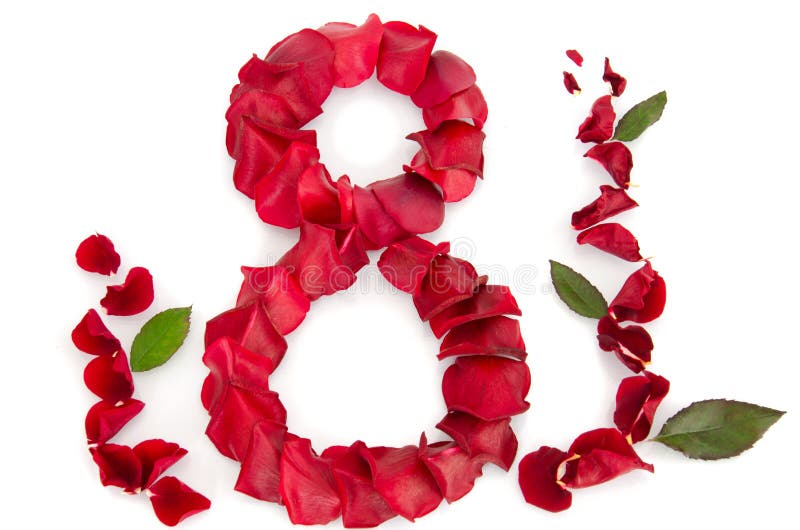 Rose Petals in a Shape of a Eight Stock Photo - Image of floral, eight ...
