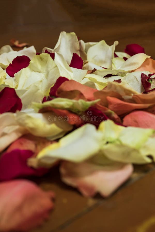 Rose Petals on the Wooden Floor Stock Image - Image of flower, leaf ...