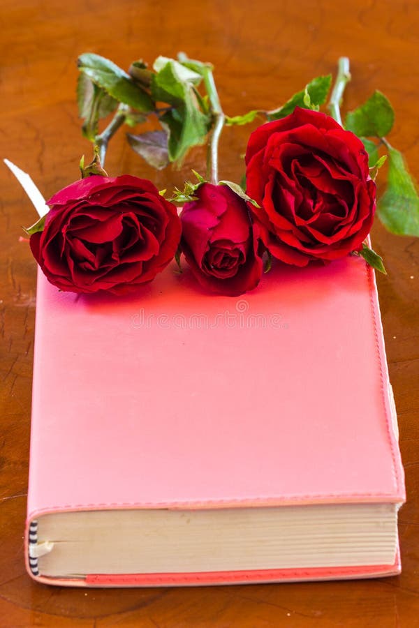 20,235 Pink Diary Photos - Free & Royalty-Free Stock Photos from Dreamstime